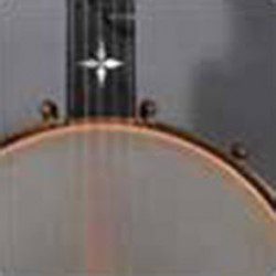 New, Used & Vintage Stringed and Fretted Instruments - Spruce Tree Music