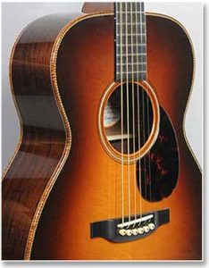 New, Used & Vintage Stringed and Fretted Instruments - Spruce Tree Music