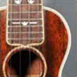 New, Used & Vintage Stringed and Fretted Instruments - Spruce Tree Music