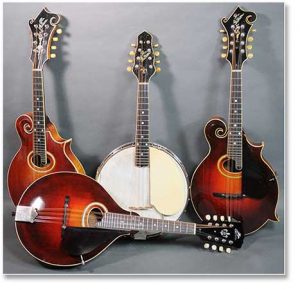 Used & Vintage Instruments - Spruce Tree Music