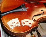 Setting Up Violins - Spruce Tree Music
