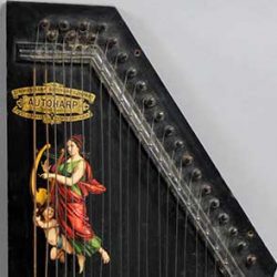 New, Used & Vintage Stringed and Fretted Instruments - Spruce Tree Music