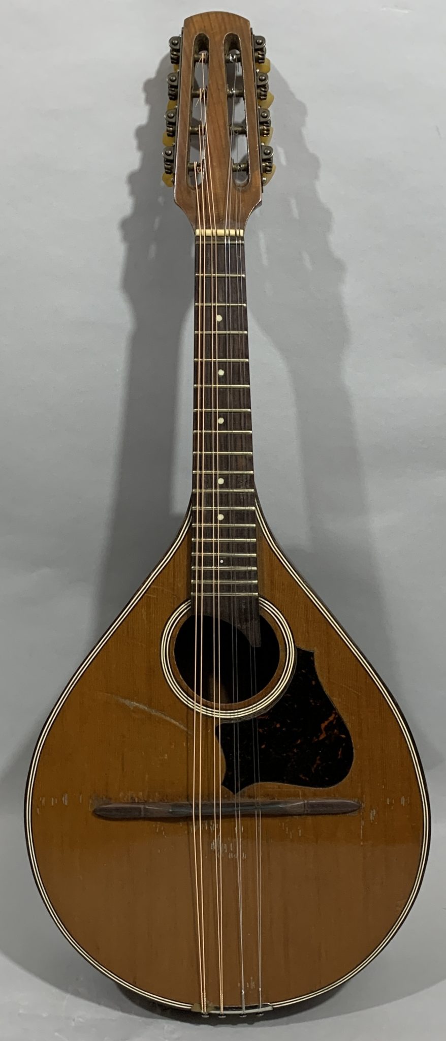 Used & Vintage Mandolins - Spruce Tree Music